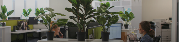 Our Team – AMS Distributors